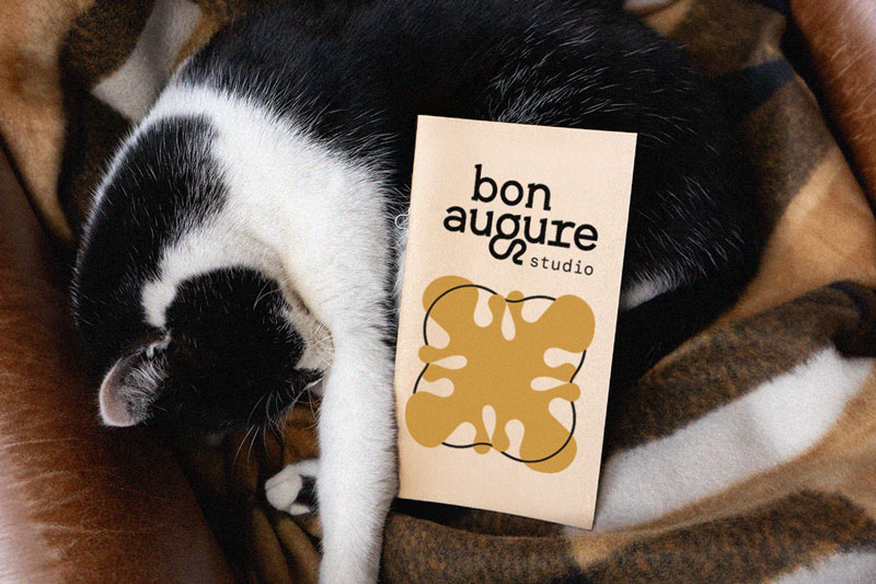 Notre offre - Atelier identité de marque | bon augure studio